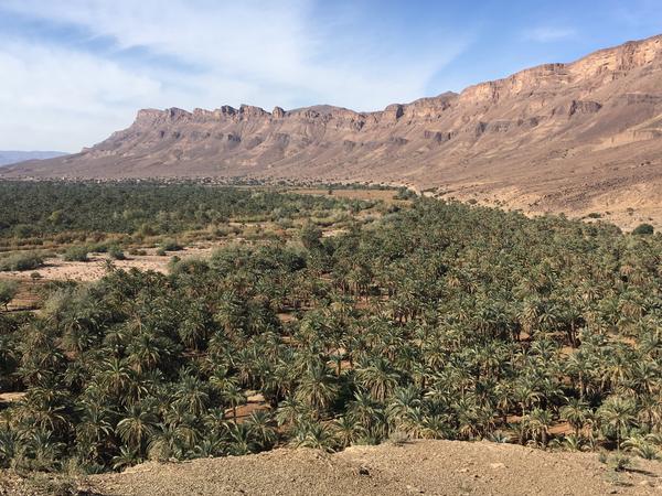 Hot Deserts case study: Challenges and Opportunities in the Moroccan S ...