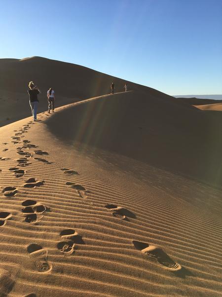 Hot Deserts case study: Challenges and Opportunities in the Moroccan S ...