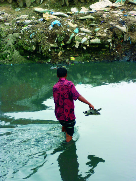 Issues in Globalisation: Environmental Impacts & Sustainability (Strea ...