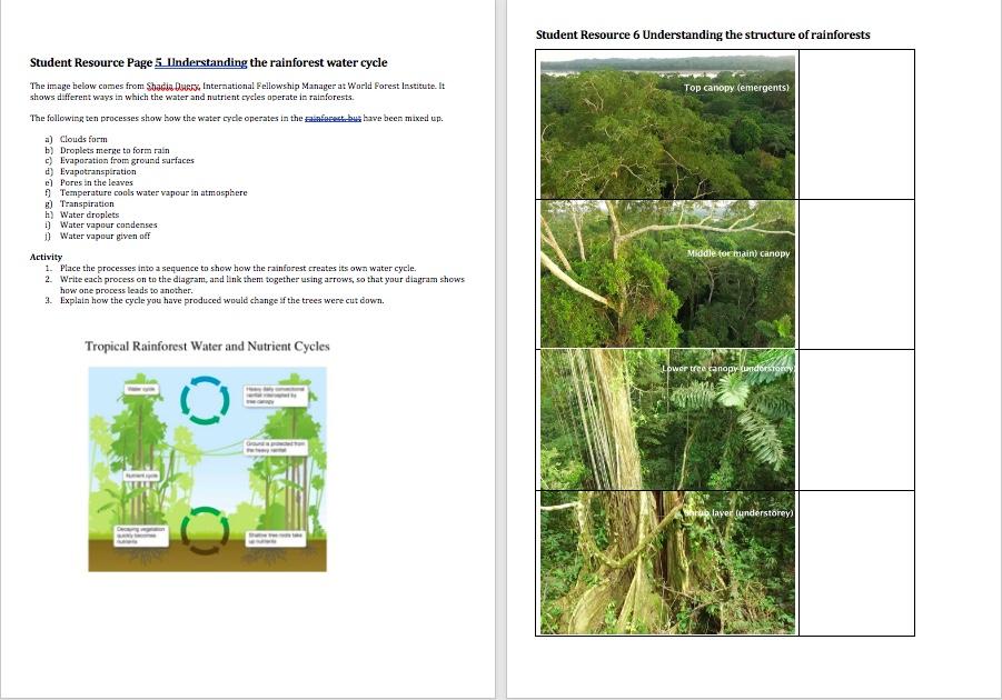 The Tropical Rainforest Ecosystem - PUMPKIN INTERACTIVE